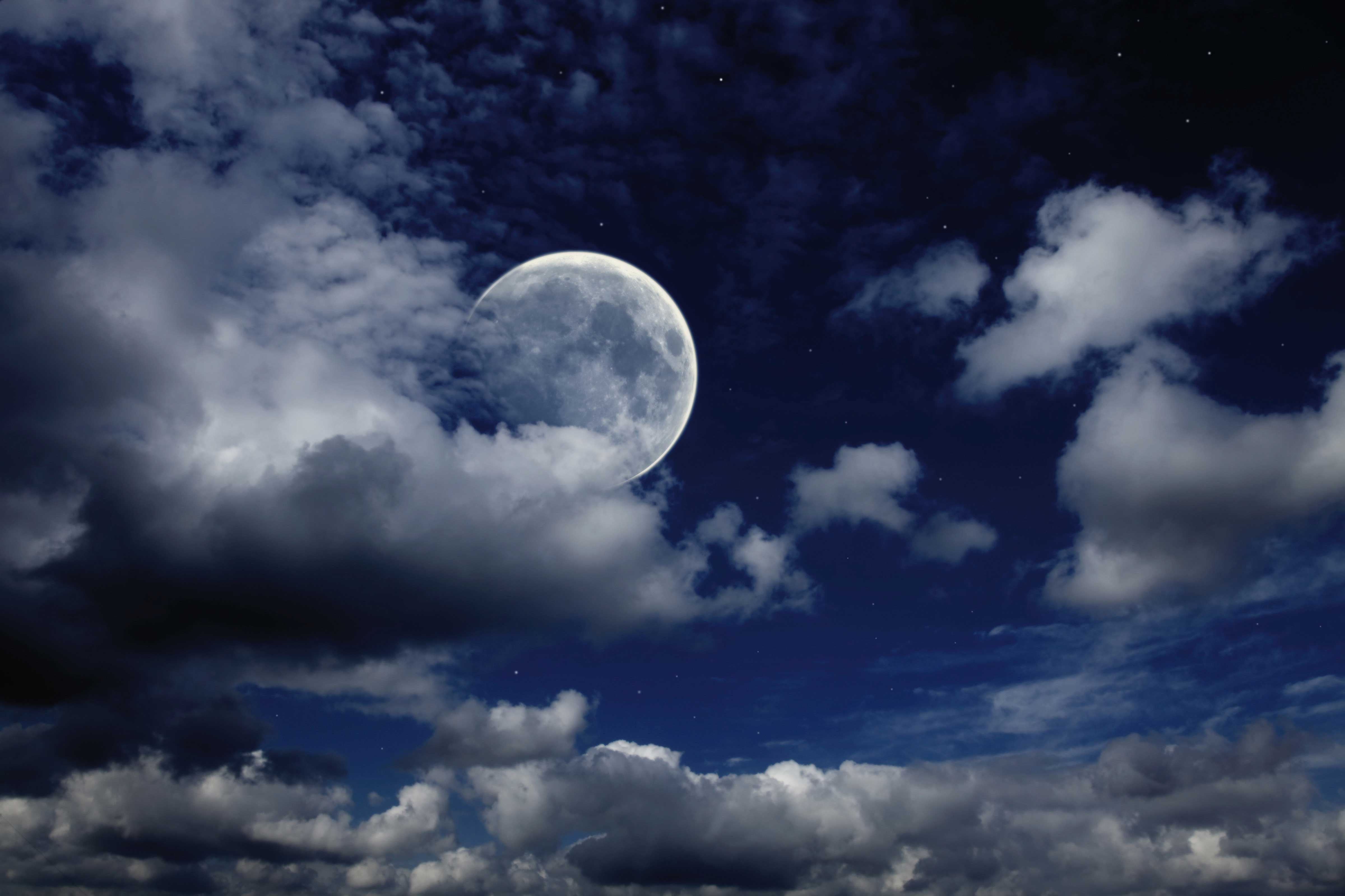 L’importanza della Luna nella coltivazione bio - Gesal.it